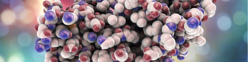 Home [leukocytebiology.org]