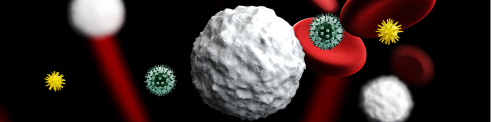 Home [leukocytebiology.org]